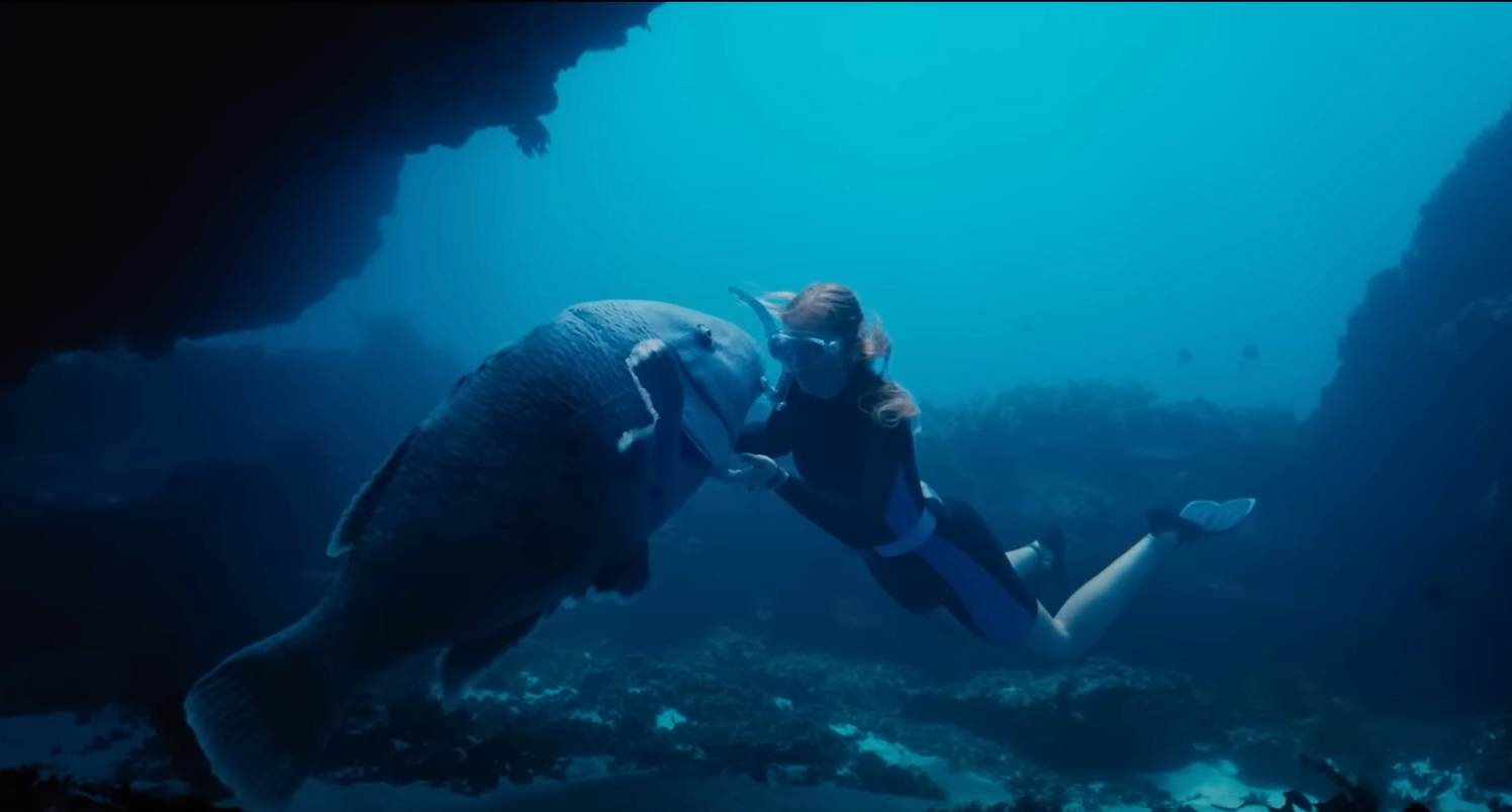 Blueback Takes Bremer Bay to Toronto - GSDC